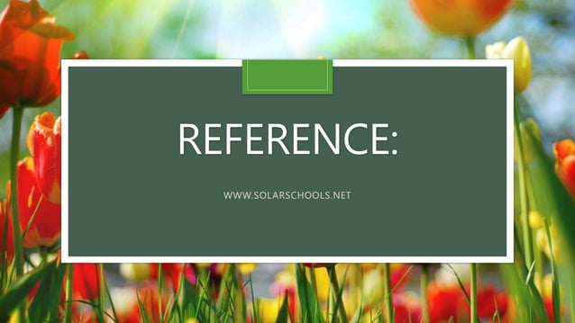 A Presentation on 3R (Reduce, Recycle, Reuse) | PPTX