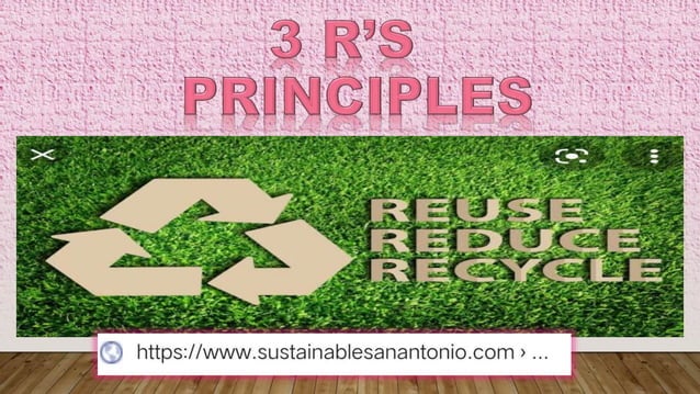 3 r’s PRINCIPLES AGRI-CROP JOY C,.pptx