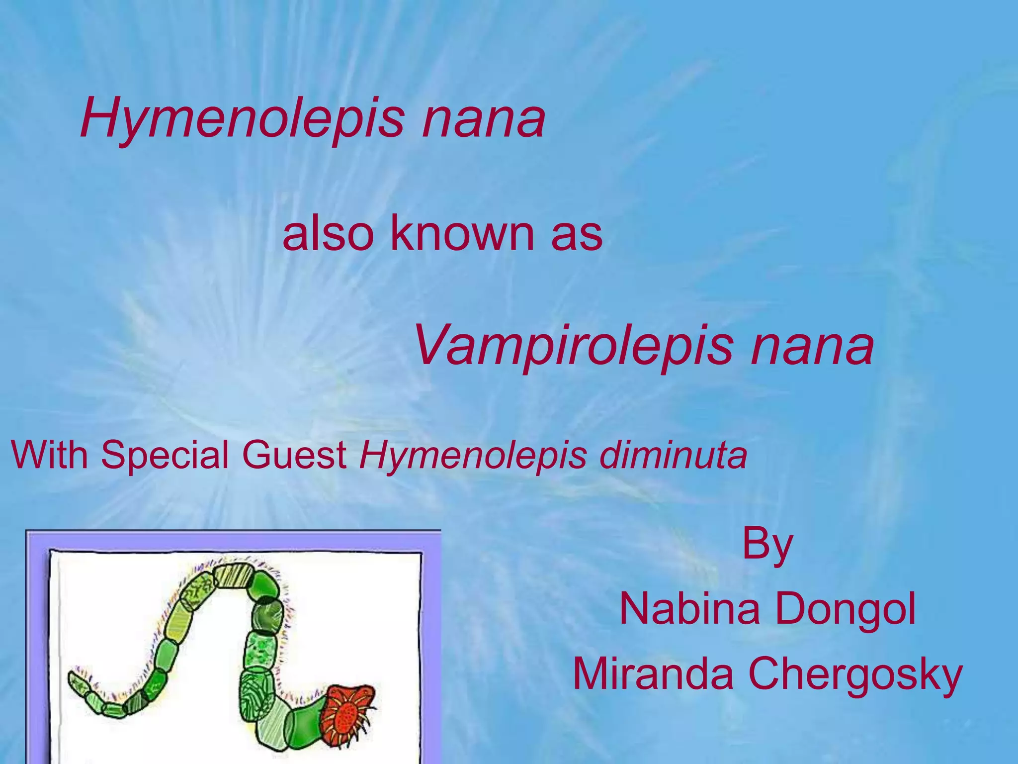 [Micro] hymenolepis nana | PPT
