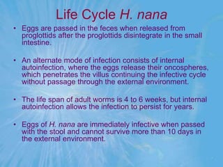 [Micro] hymenolepis nana | PPT