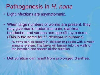 [Micro] hymenolepis nana | PPT