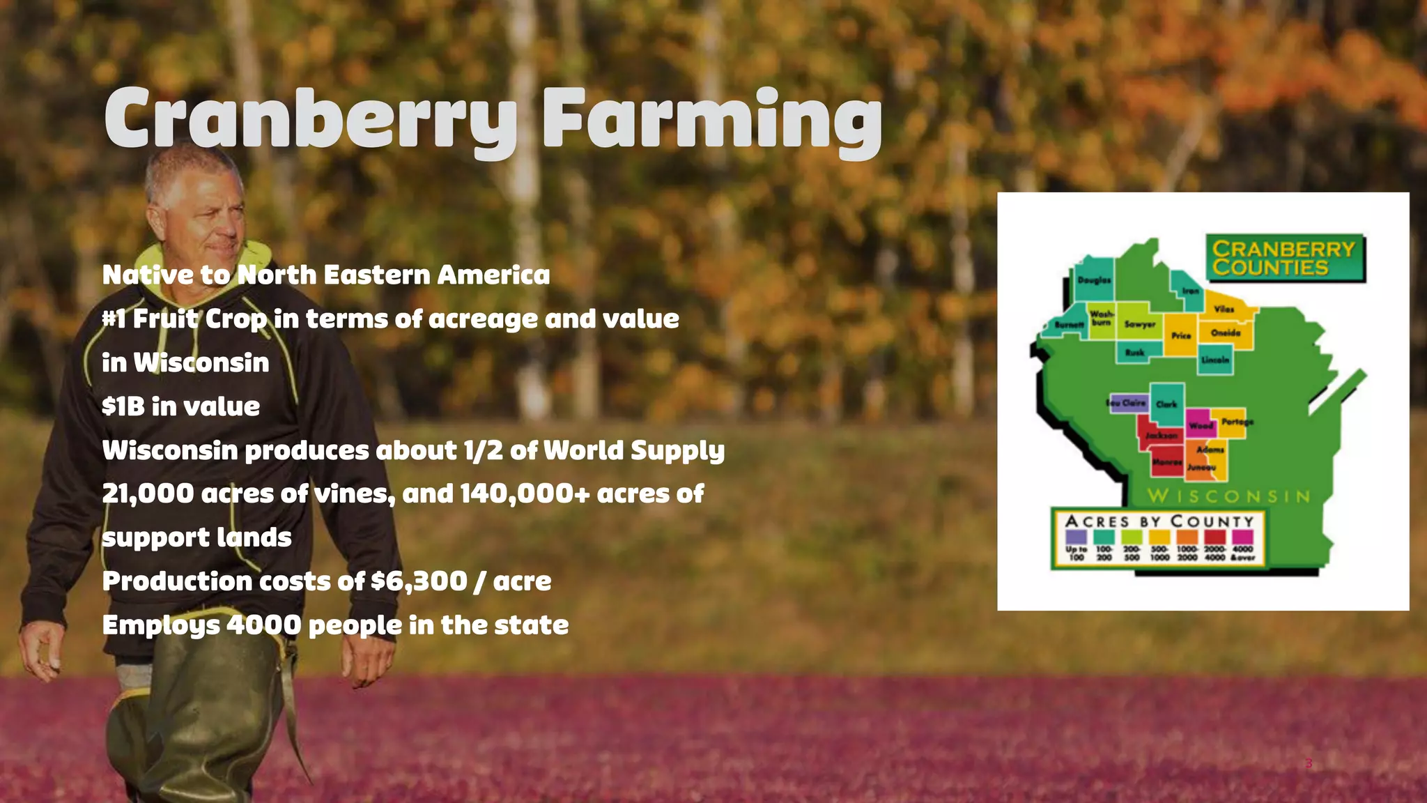 Deep Learning and Pest Management in Cranberry Farming—The Cranberry ...