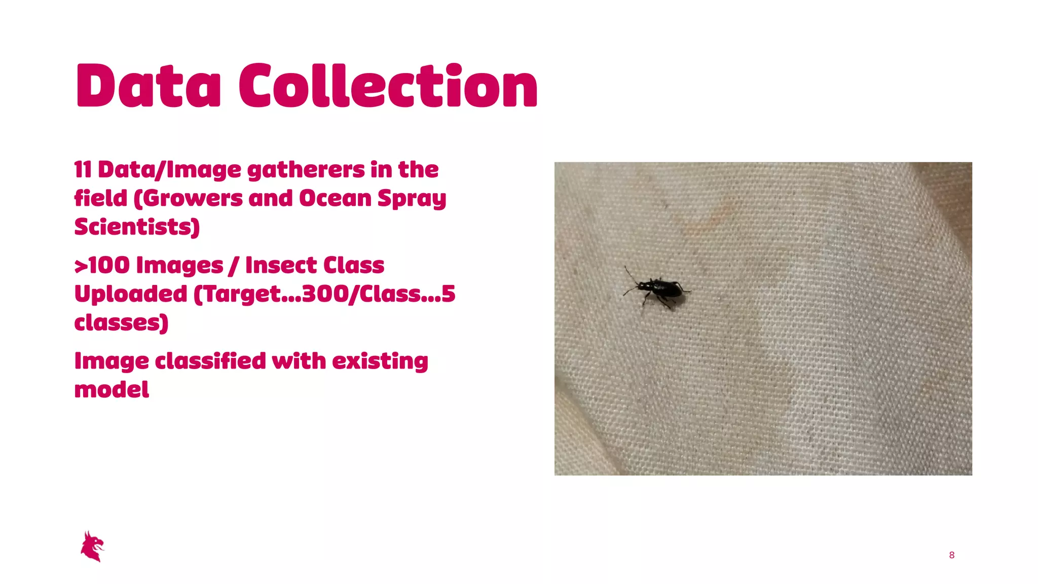 Deep Learning and Pest Management in Cranberry Farming—The Cranberry Fights Back with Samrat ...