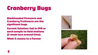 Deep Learning and Pest Management in Cranberry Farming—The Cranberry ...