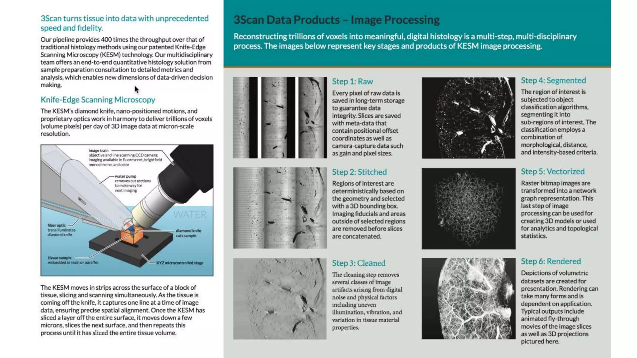 3Scan Computational Pathology | PPTX