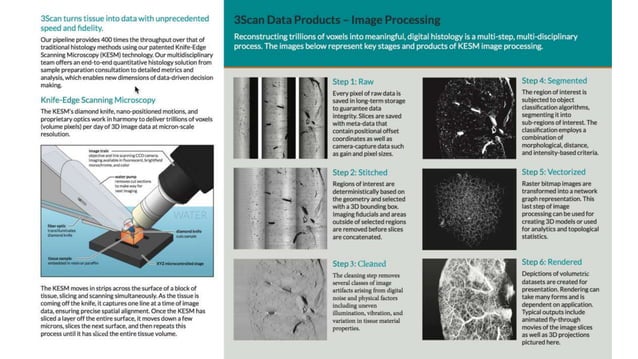 3scan Computational Pathology Ppt