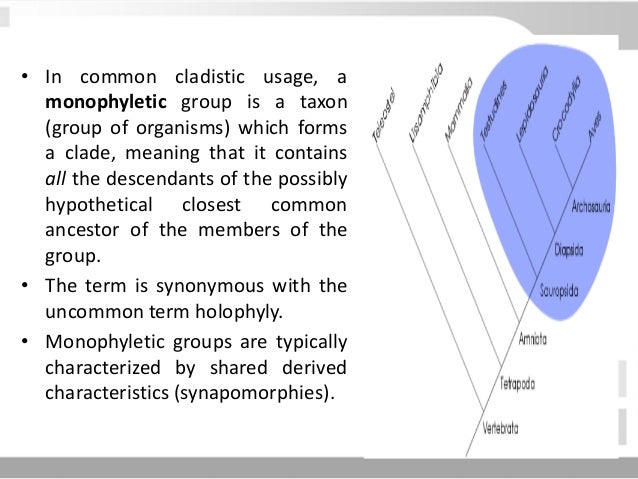 3 schools of systematics