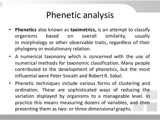 3 schools of systematics