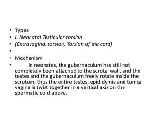 3 scrotal swellings | PPTX