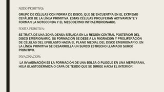 3 Semana de gestación.pptx
