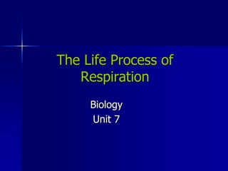 3semesterrespiration.ppt