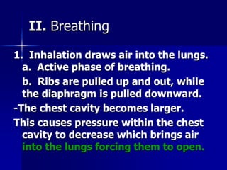 3semesterrespiration.ppt