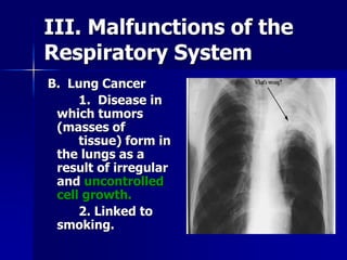 3semesterrespiration.ppt