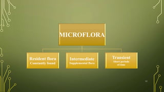 oral microflora through child upto adult age | PPTX