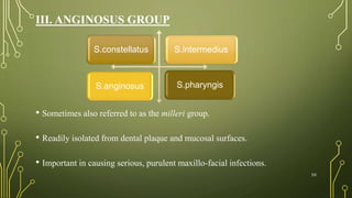 oral microflora through child upto adult age | PPTX