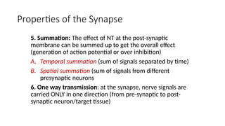 3 SENSORY RECEPTORS physiology slides.pptx