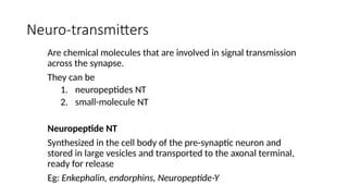 3 SENSORY RECEPTORS physiology slides.pptx