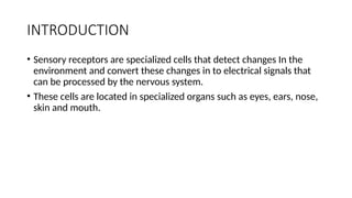 3 SENSORY RECEPTORS physiology slides.pptx