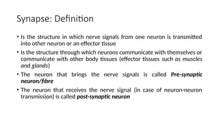 3 SENSORY RECEPTORS physiology slides.pptx