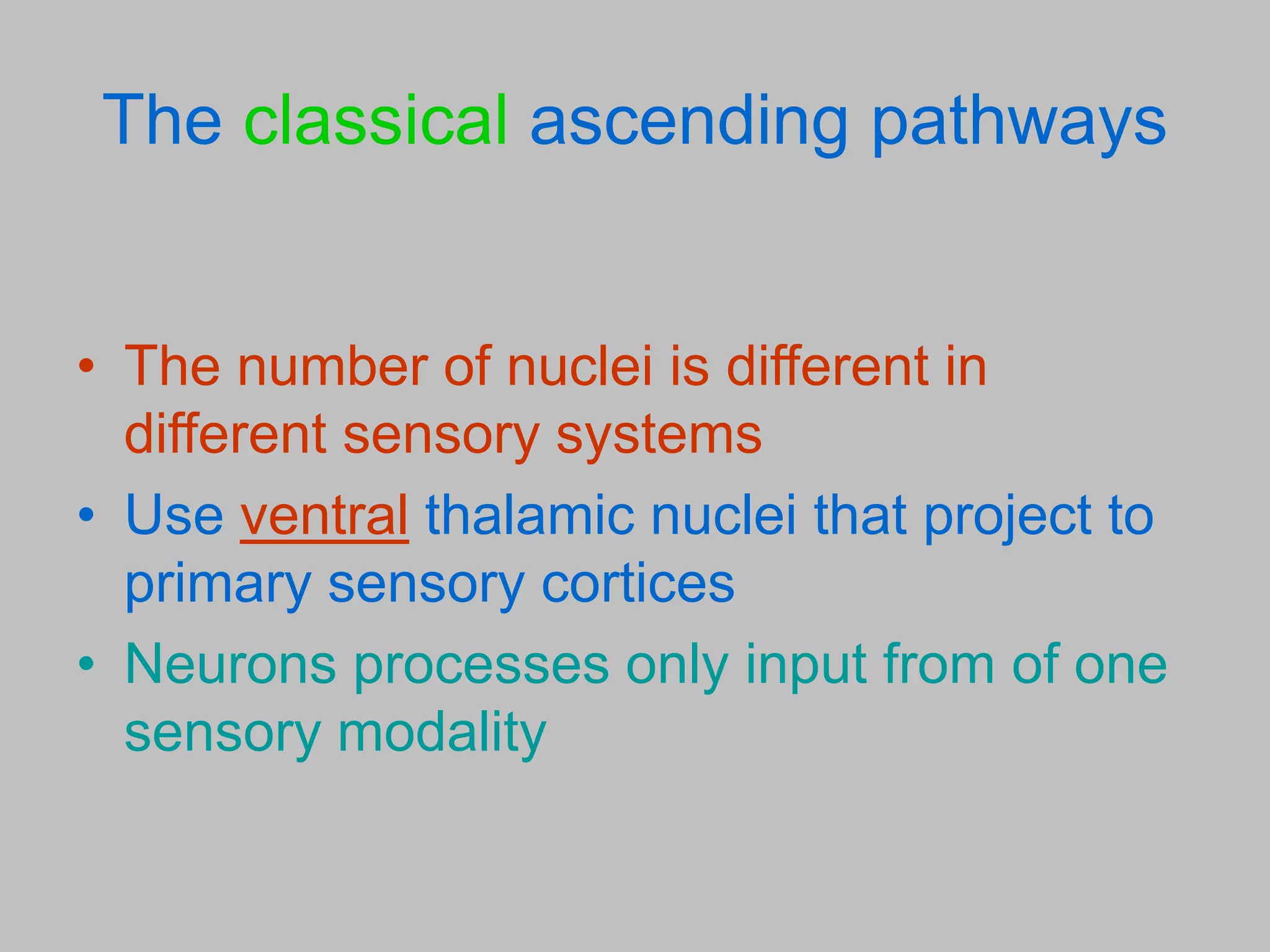 sensory system.ppt | Free Download