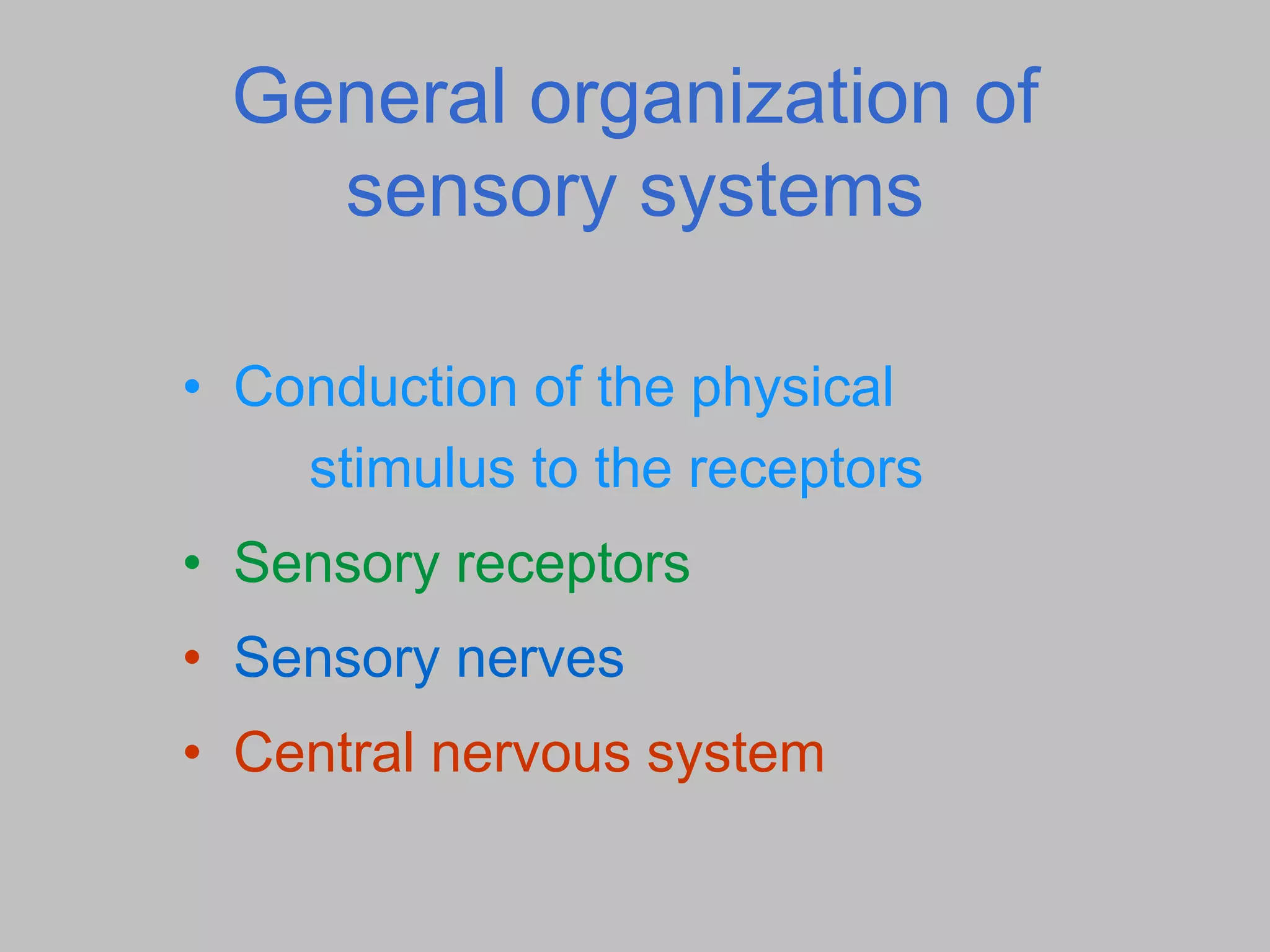 sensory system.ppt