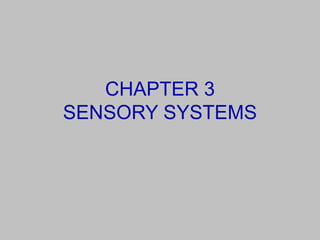 sensory system.ppt