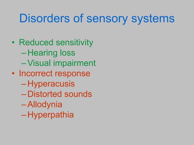 sensory system.ppt