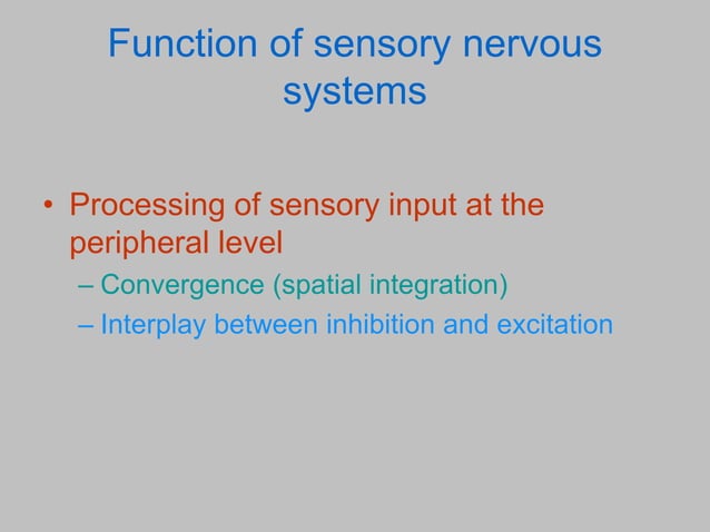 sensory system.ppt
