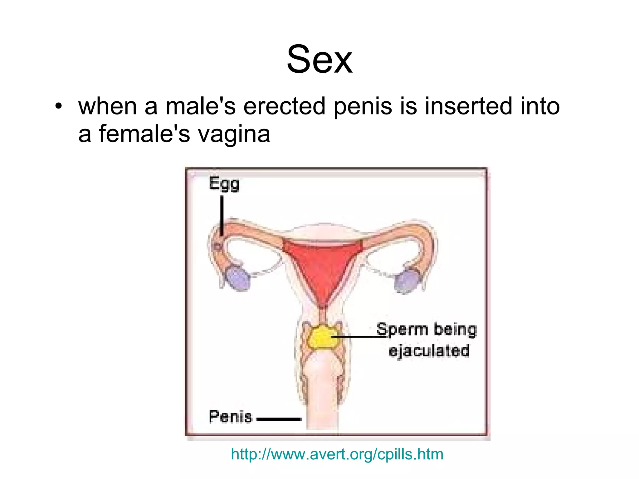 Chapter 17 Reproduction In Humans Lesson 3 Sexual Intercourse