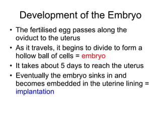 Chapter 17 Reproduction in Humans Lesson 3 - sexual intercourse ...