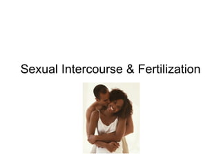 Sexual Intercourse Procedure