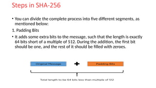 3_Blockchain's_SHA_algorithm_Immutable ledger_Distributed p2p Network.pptx