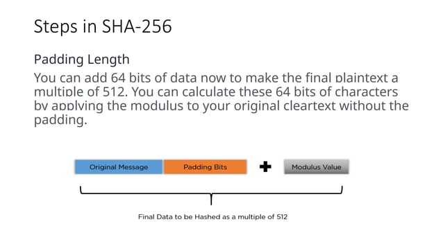 3_Blockchain's_SHA_algorithm_Immutable ledger_Distributed p2p Network.pptx | Free Download