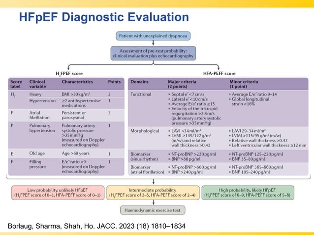 Heart Failure with Preserved Ejection Fraction: Diagnostic Updates ...
