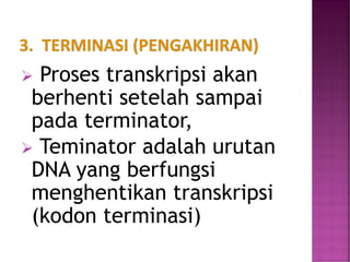 3 SINTESIS PROTEIN.pdf