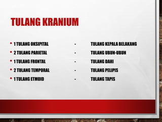 3_SISTEM KERANGKA-TULANG TENGKORAK DAN RANGKA DADA-1.pdf