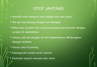 3 Materi SISTEM MUSKULARIS Pada Tubuh Manusia | PPT