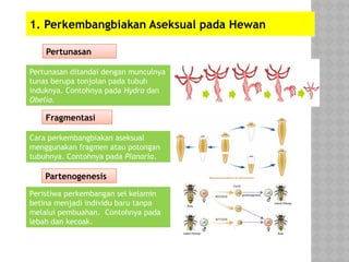 SISTEM REPRODUKSI PADA HEWAN KELAS IX.pptx