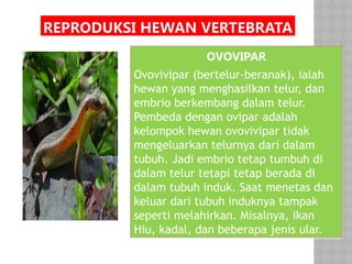 SISTEM REPRODUKSI PADA HEWAN KELAS IX.pptx
