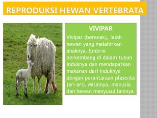 SISTEM REPRODUKSI PADA HEWAN KELAS IX.pptx