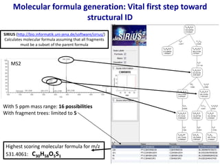 3Slide_Presentation_for_Lee_Ferguson,_Ph.D.,_Duke_University.ppt