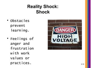 Preceptorship-socialization | PPT