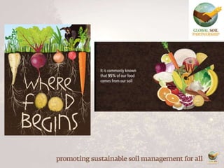 Implementation Plan of SSCAF Soil Project in Rwanda | PPT