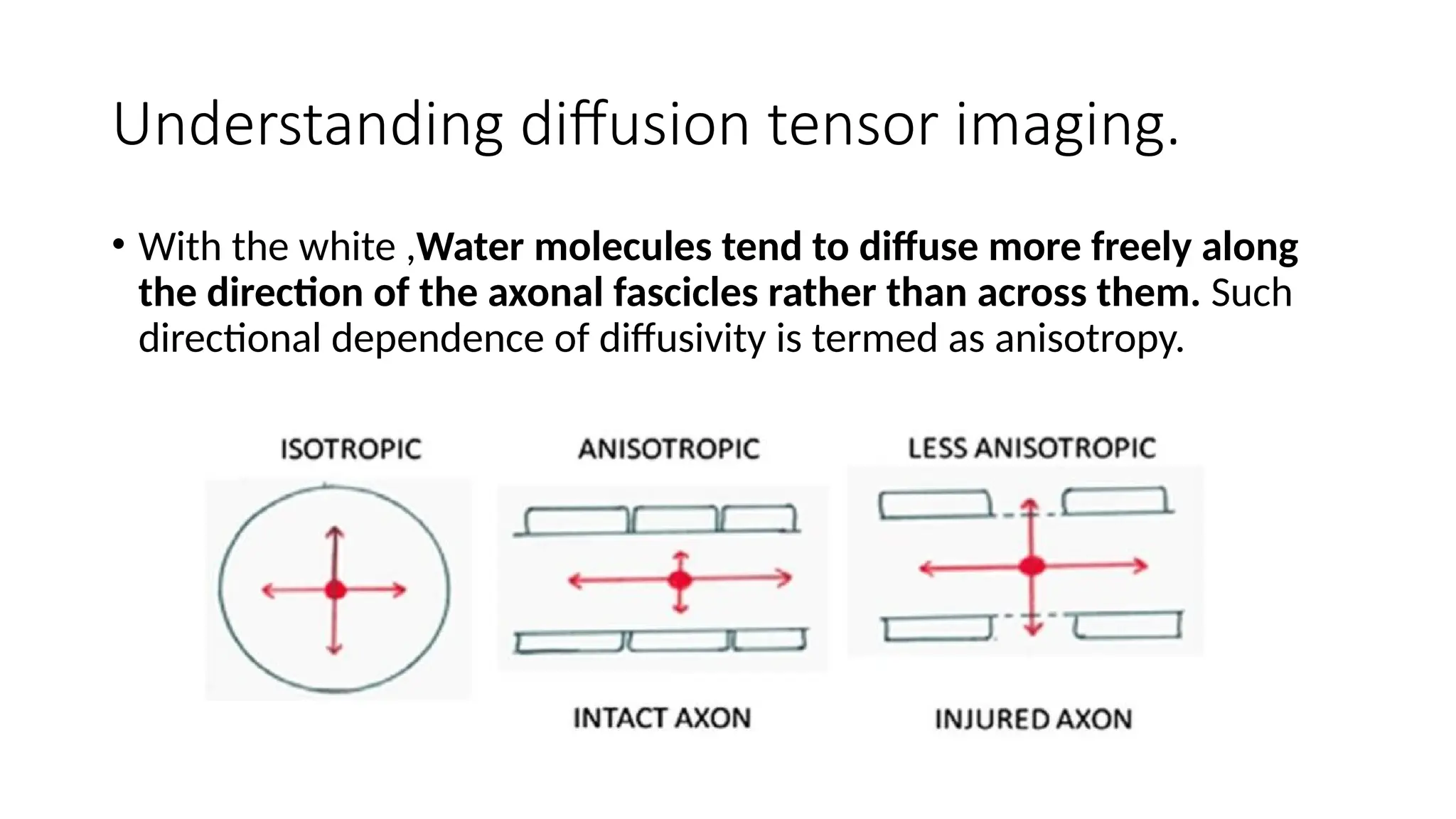 functional MRI Spinal Cord Tractography.pptx