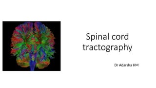functional MRI Spinal Cord Tractography.pptx