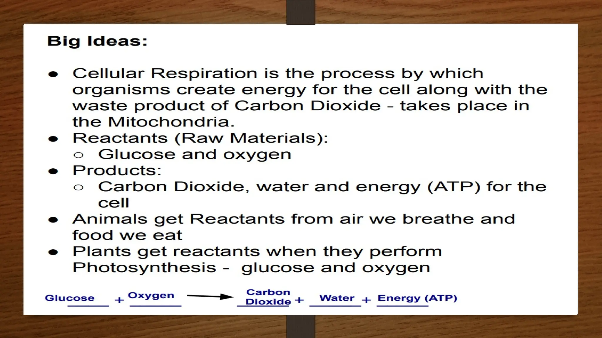 3 STAGES OF CELLULAR RESPIRATION ppt.pptx