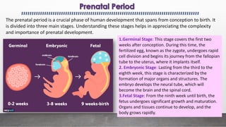 3_Stages on Human Development. early childhood | PDF