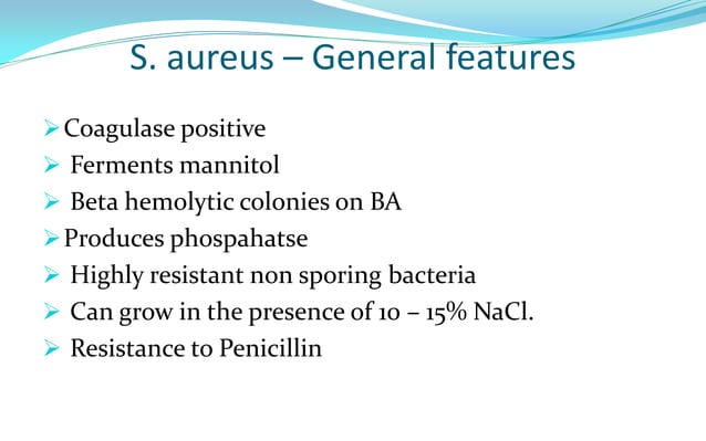 3 staphylococcus.pdf