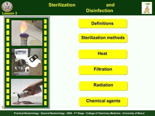 3 Sterilization.ppt | Gardening | Home & Garden