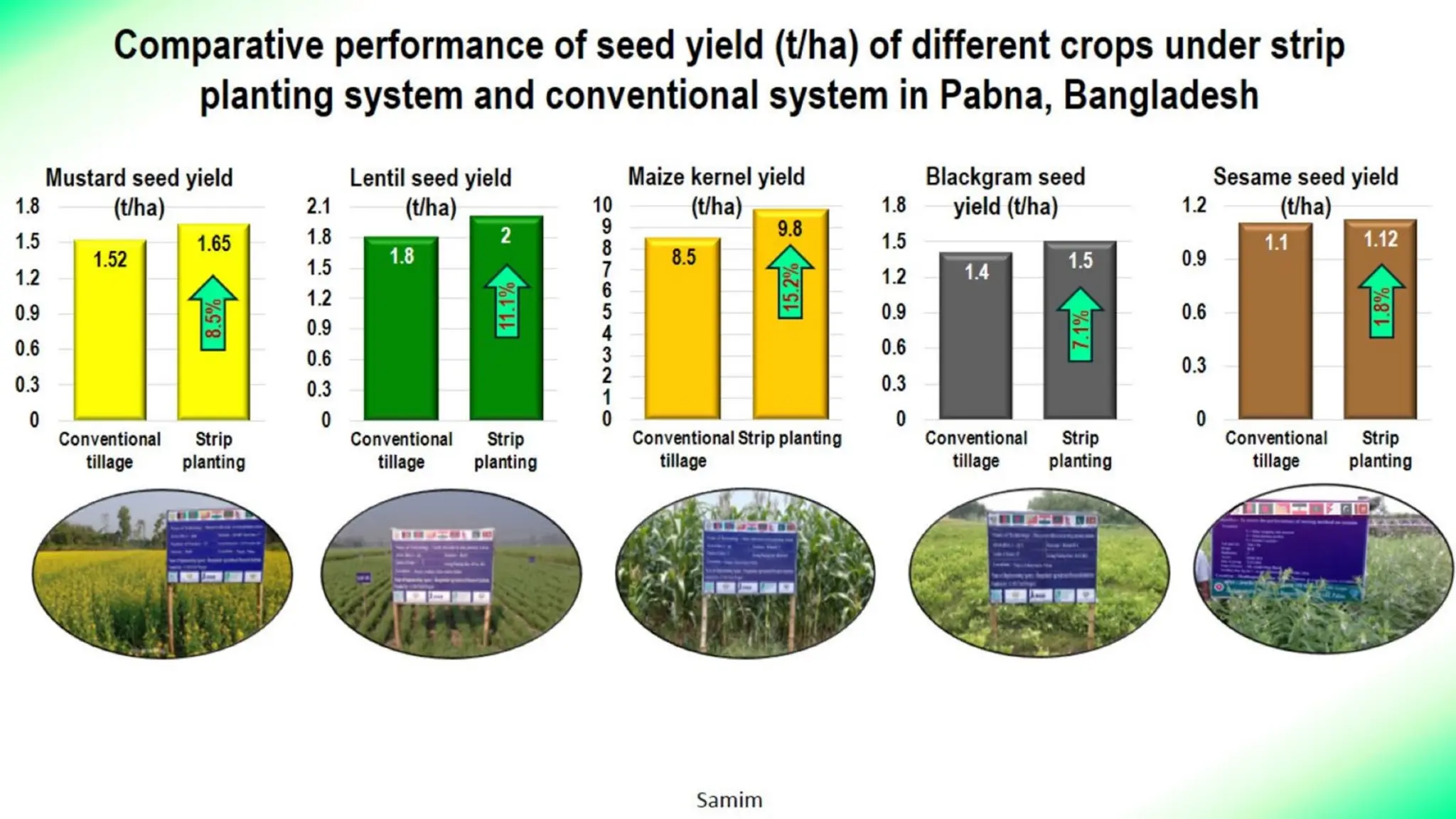 Strip Planting - Climate Smart Agriculture | PPT